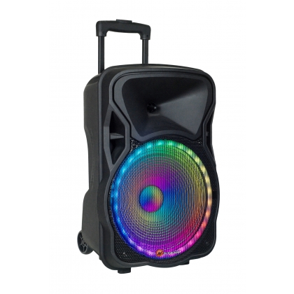 N-GEAR The Flash 1205 - Draadloze Bluetooth Party Speaker - Karaoke Set - 2 Microfoons ...